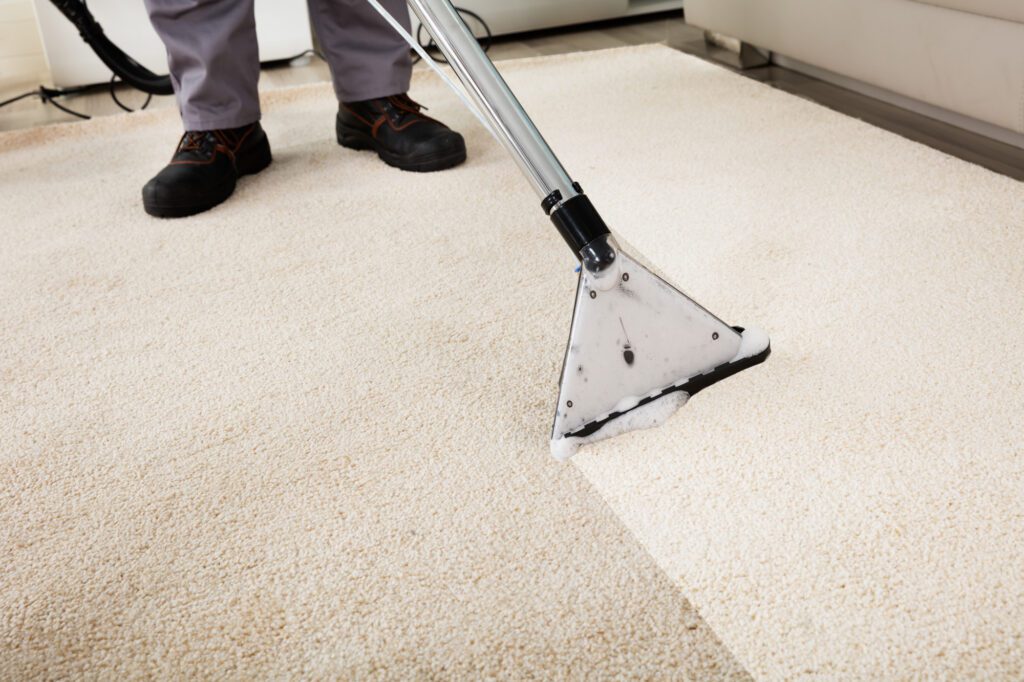 Don't Leave Your Carpet in the Dust!: 8 Signs You Need Professional ...