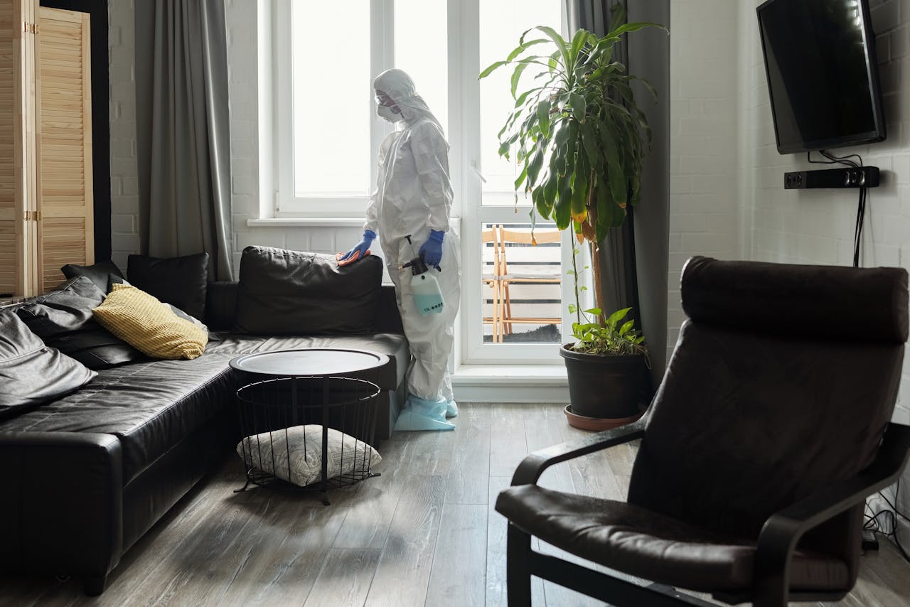 A Comprehensive Guide to Minimizing Pest Intrusion in Homes - Finding ...